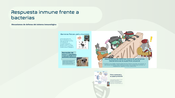 Respuesta Inmune Frente a Bacterias by Eto Yoshimura on Prezi