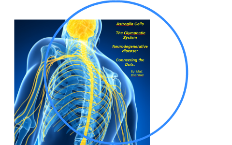 Astroglial Cells, The Glymphatic System and Neurodegenerativ by Matthew ...