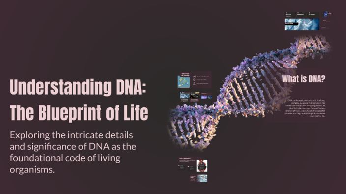 Understanding DNA: The Blueprint of Life by Paweł Nadgrabski on Prezi