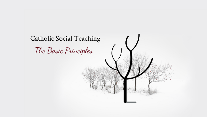 Short CST Basic Principles by John Medaille on Prezi