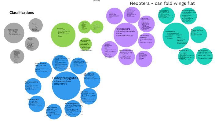 Exam 1 Entomology review by Shane Penney on Prezi