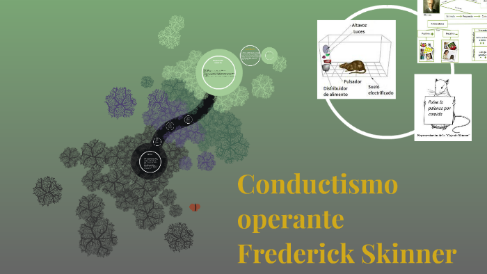 Conductismo operante by Wilson Alejandro Calderon Orellana on Prezi