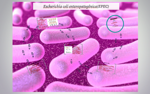 Escherichia coli enteropaogênica(EPEC) by Thais Fraga on Prezi