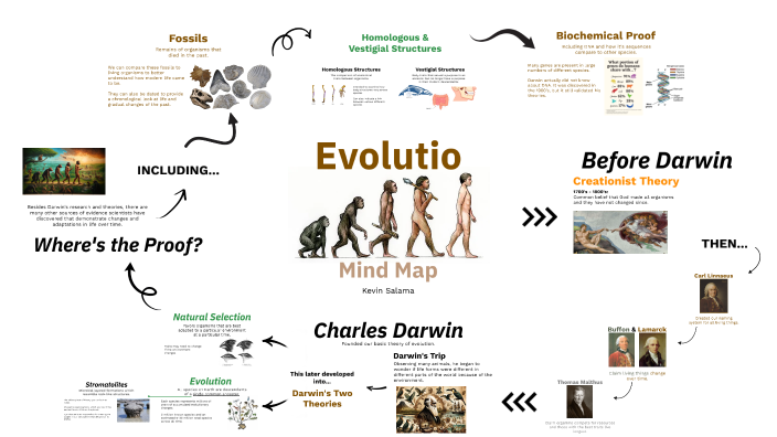 Mind Map: Evolution - Kevin Salama by Kevin Salama on Prezi