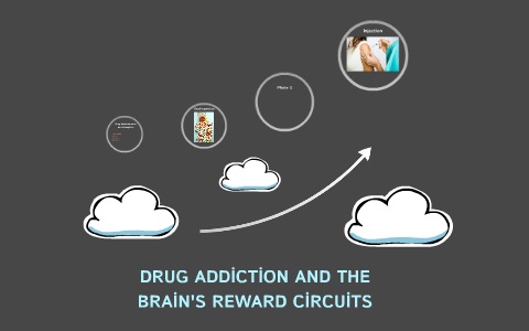 DRUG ADDİCTİON AND THE BRAİN'S REWARD CİRCUİTS by özlem sürücü on Prezi