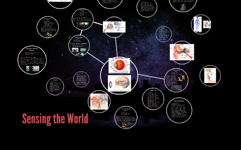 Sensing the World by on Prezi