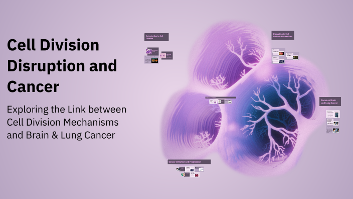 Cell Division Disruption and Cancer by ROTAPUN on Prezi