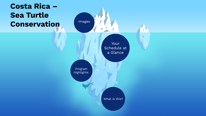 Costa Rica – Sea Turtle Conservation by JOSE ANDRES ROMERO DIAZ on Prezi