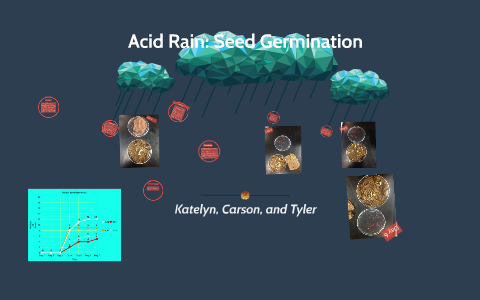 Acid Rain: Seed Germination by Katelyn Winnett on Prezi