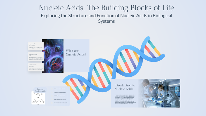 Nucleic Acids: The Building Blocks of Life by Maria Fernanda ...