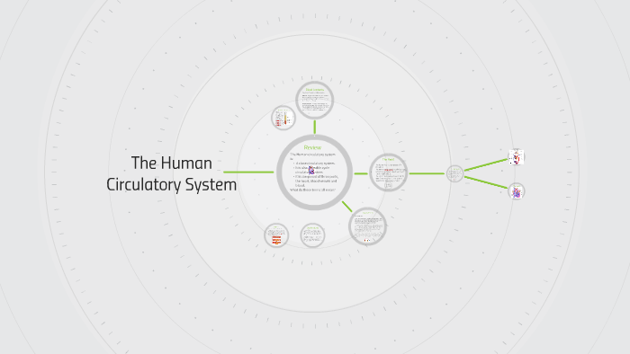 SBI3U - Human Circulatory System by David Corcoran on Prezi