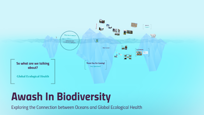 Awash In Biodiversity by Emma Hultin on Prezi
