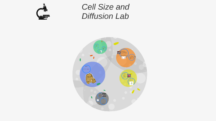 Cell Size and Diffusion Lab by Jerome Mercado on Prezi