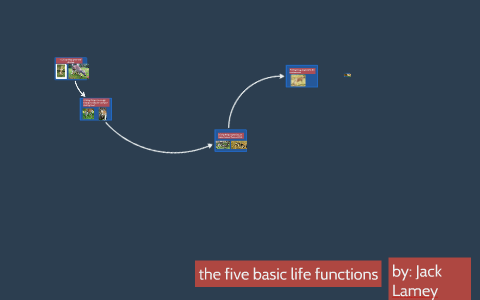 the five basic life functions by REBECCA BAGGETT
