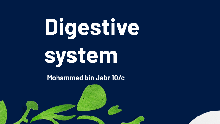 Digestive system by Mod Mod Gamer on Prezi