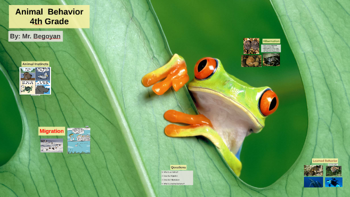 Animal Behavior - 4th Grade by William Begoyan on Prezi