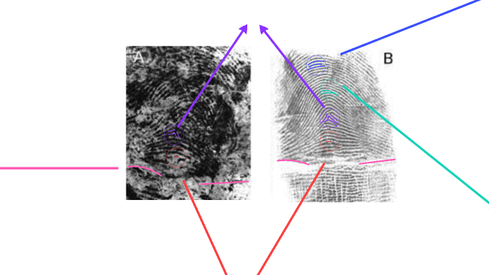 Ridge to Ridge Comparison by Eleanor Palmer on Prezi