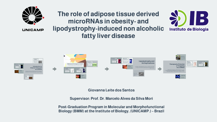 The Role of Adipose Tissue Derived MicroRNAs by Giovanna Leite dos ...