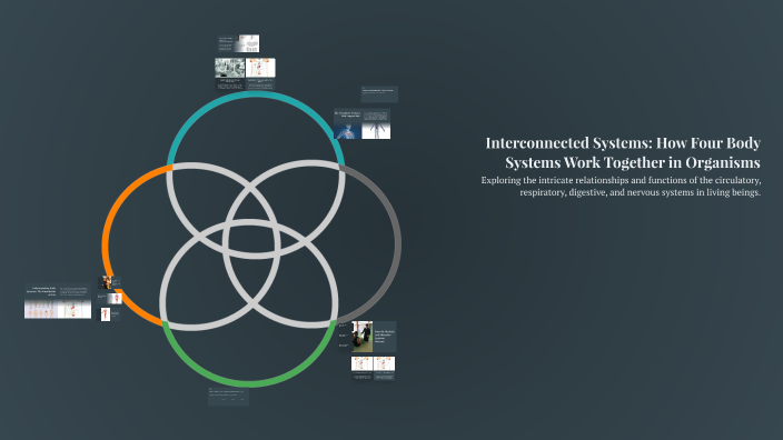 Interconnected Systems: How Four Body Systems Work Together in ...
