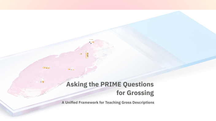 Improving Grossing Techniques in Pathology Education by ZAHRA AKBARI on ...