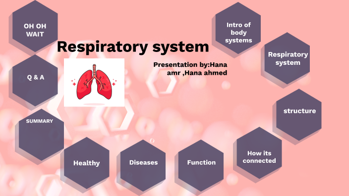 respiratory system by hana amr on Prezi