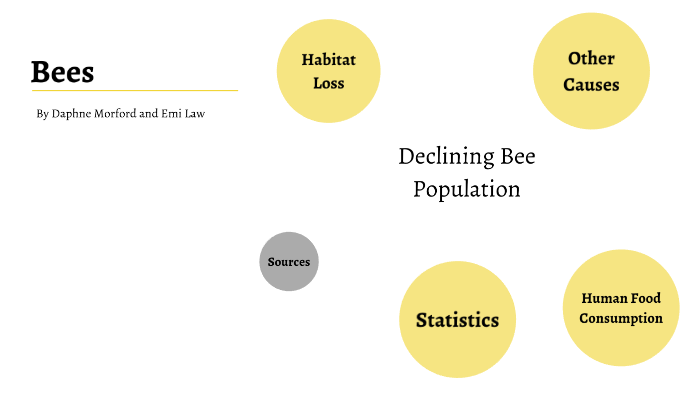 Bee Population Flowchart by Emi Law on Prezi