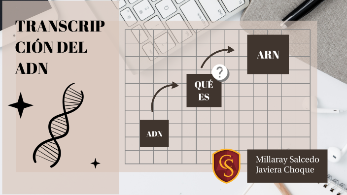 Transcripción del Adn by javiera choque on Prezi