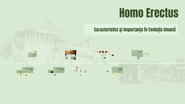 Homo Erectus by STRESINA ADRIAN ALIN on Prezi