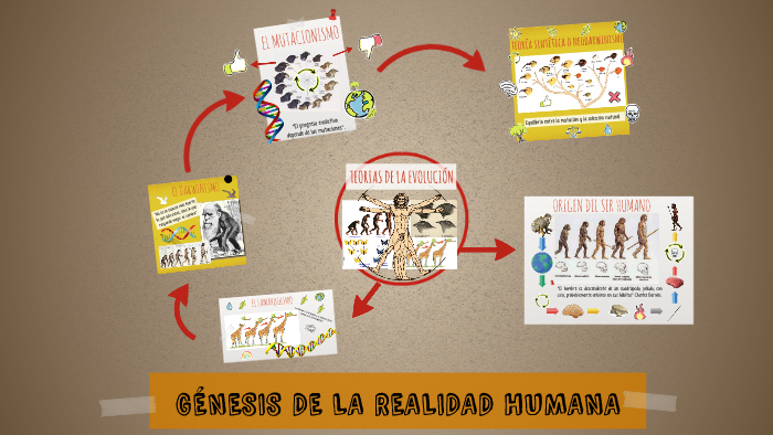 GÉNESIS DE LA REALIDAD HUMANA by Sofia Garcia Morales on Prezi