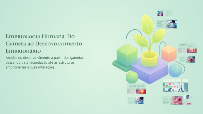 Embriologia Humana: Do Gameta ao Desenvolvimento Embrionário by Janayna ...