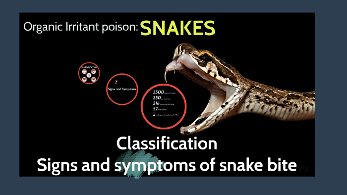 Classification of snakes by Joel Jose on Prezi