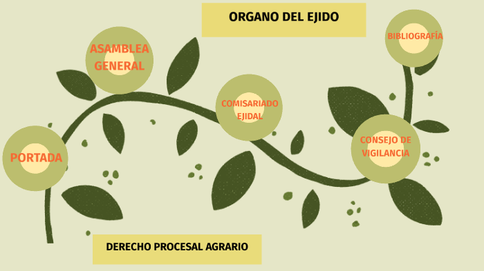 ÓRGANOS DEL EJIDO by jose manuel osorio hernandez on Prezi