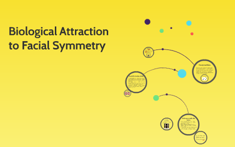 Biological Attraction to Facial Symmetry by Emily Vial on Prezi