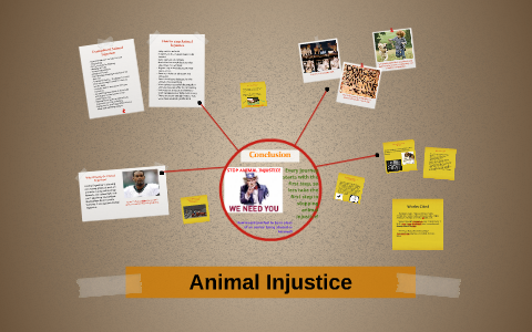 What Exactly Is Animal Injustice? by Dan Hickey on Prezi