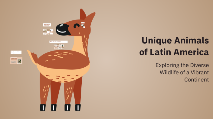 Unique Animals of Latin America by armani hornsby on Prezi