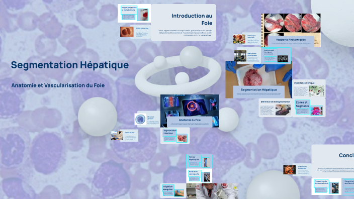 Segmentation hépatique by Célia guiton on Prezi