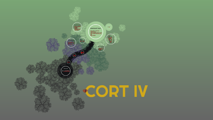 CORT IV by Aisyah 122146 on Prezi