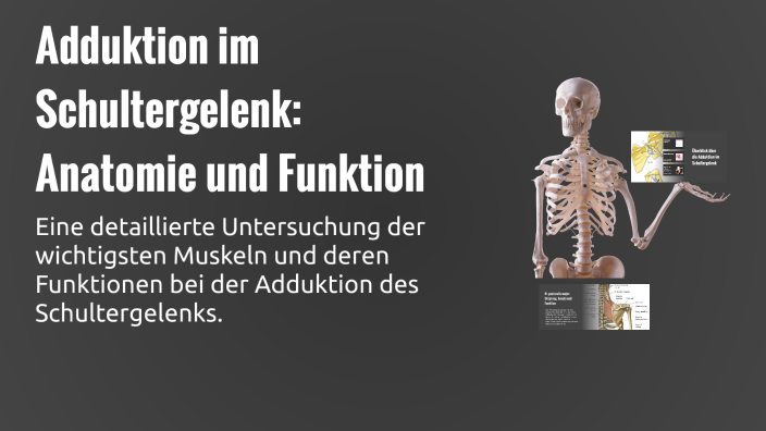 Adduktion im Schultergelenk: Anatomie und Funktion by Niklas F on Prezi