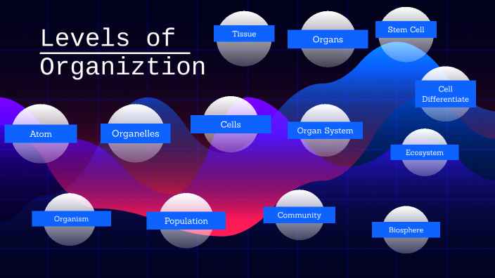 Levels of Organization by Grace Porter [STUDENT] on Prezi