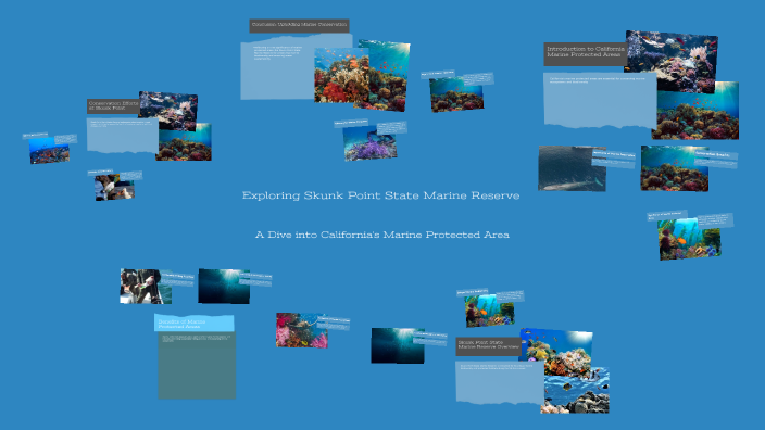 Exploring Skunk Point State Marine Reserve by Joel Santos on Prezi