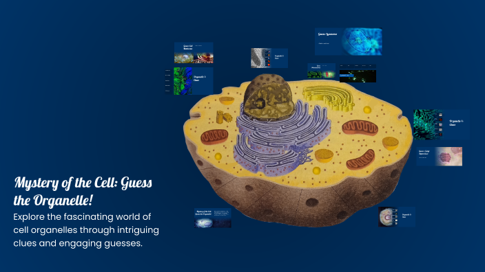 Mystery of the Cell: Guess the Organelle! by Mohie Eldin Mo on Prezi