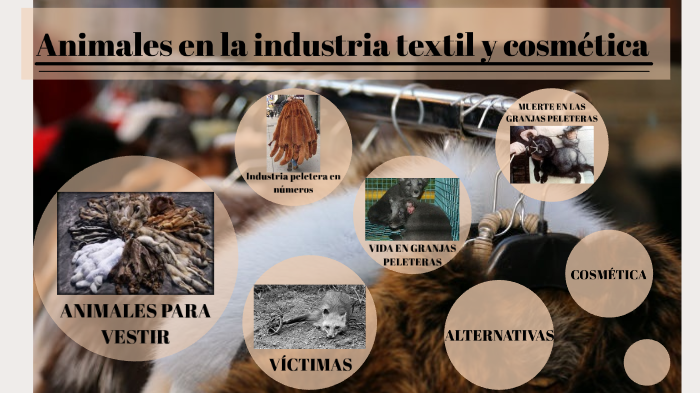 Animales en la industria textil by Caandee Maartiin on Prezi