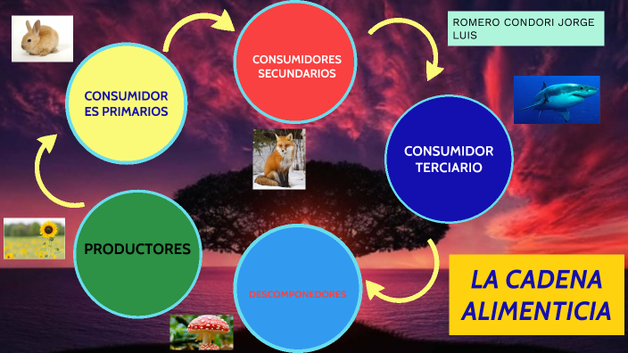 LA CADENA ALIMENTICIA by jorge romero on Prezi