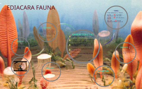 EDIACARA FAUNA by irene Galán Sánchez-Barba on Prezi