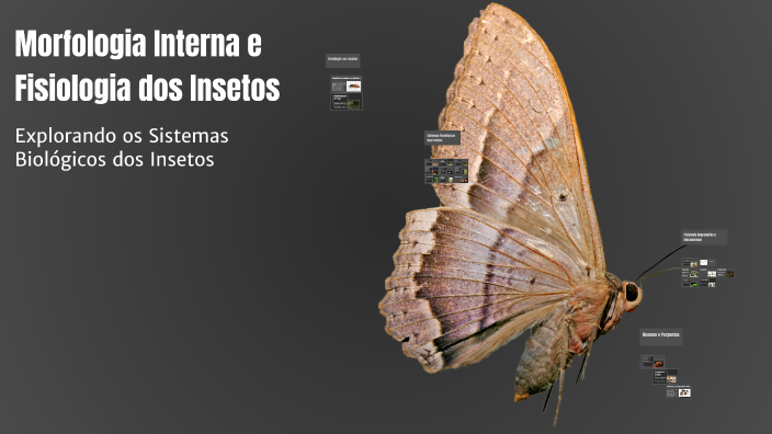 Morfologia Interna e Fisiologia dos Insetos by Lucas Caixeta Vieira on ...