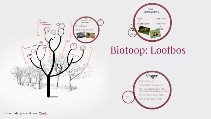 Biotoop: Loofbos by Warda Rabhi on Prezi