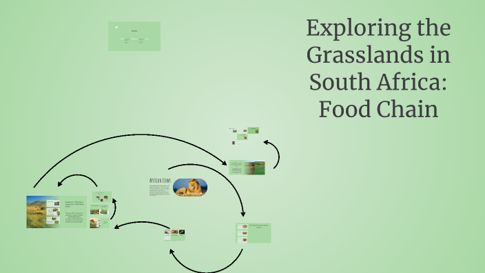 Exploring Grassland Food Webs by Vihan Bansal on Prezi