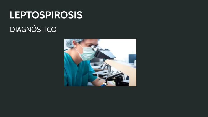 LEPTOSPIROSIS by Sara Mármol on Prezi