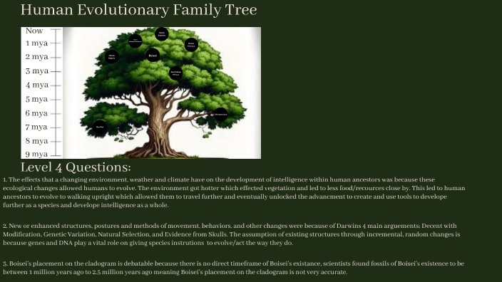 Human Evolutionary Family Tree by Emmett Dalzell on Prezi