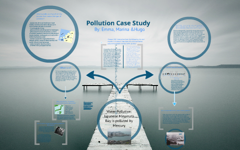 Pollution Case Study by Marina Ramos on Prezi